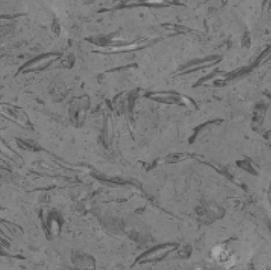 Factory Terrazzo 600x600mm Cement Floor Tile 800x800mm