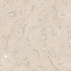 Factory Terrazzo 600x600mm Cement Floor Tile 800x800mm