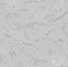 Factory Terrazzo 600x600mm Cement Floor Tile 800x800mm