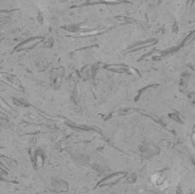 Factory Terrazzo 600x600mm Cement Floor Tile 800x800mm