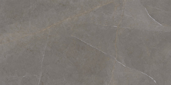 Matt surface rustic tiles-600*600/800*800MM,2cm thickness,water absorption<0.5%