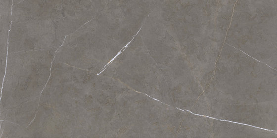 Matt surface rustic tiles-600*600/800*800MM,2cm thickness,water absorption<0.5%