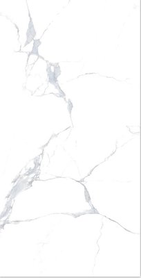 Porcelain floor tiles-600*1200mm/750*1500mm，water absorption<0.5%