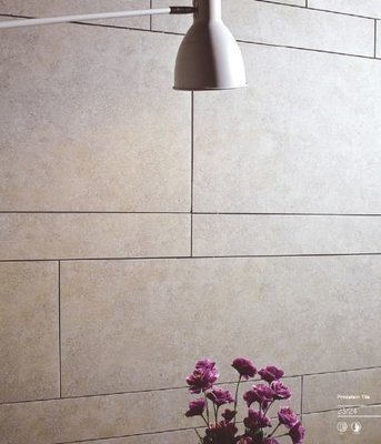 2CM Quartz Tiles Full Body Grade AAA Anti-Slip Glazed Porcelain Tile