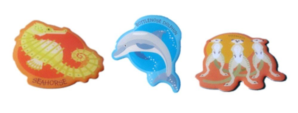 China best Plastic Name Badges on sales