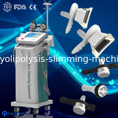 cryolipolysis Slimming Machine / zeltiq cryolipolysis beauty equipment for body shaping