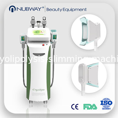 (Hot!!!)Factory price/ cryolipolysis machine and Two handpieces can work together / cryoli