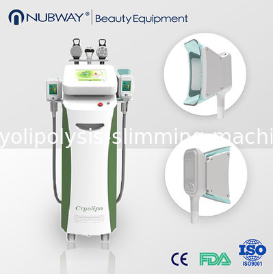 cryolipolysis freeze fat system / 3d cryolipolysis machine / With RF cavitation 5 handles