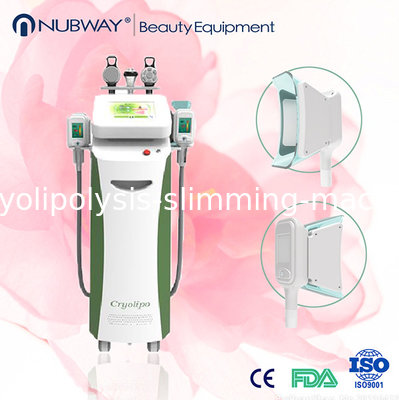 Cryolipolysis cool sculpting machine with RF Cavitation handles for body shaping