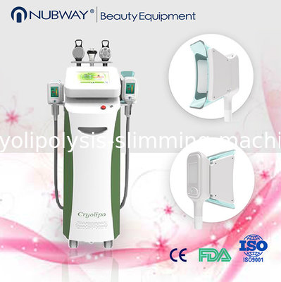Cryolipolysis cool sculpting machine with RF Cavitation handles for body shaping