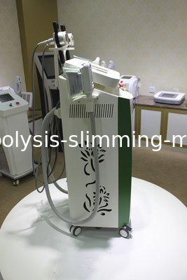 (Hot!!!)Factory price/ cryolipolysis machine and Two handpieces can work together / cryoli