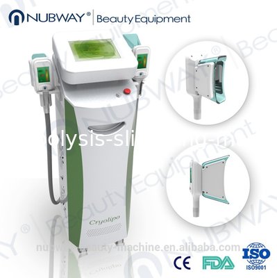 Freezing fat machine / cryolipolysis fat freezing machine with RF cavitation heads