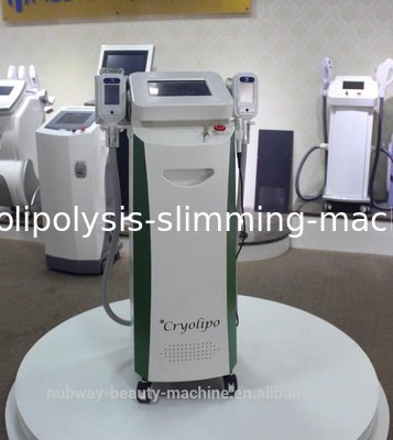 Freezing fat machine / cryolipolysis fat freezing machine with RF cavitation heads