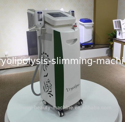 Freezing fat machine / cryolipolysis fat freezing machine with RF cavitation heads