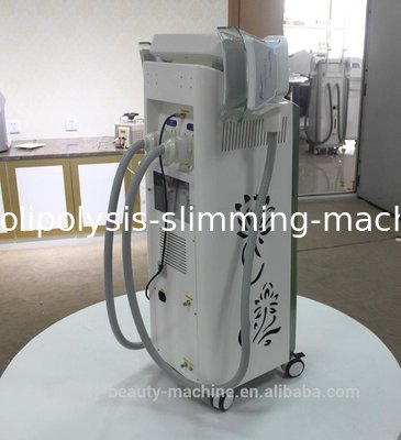 Freezing fat machine / cryolipolysis fat freezing machine with RF cavitation heads
