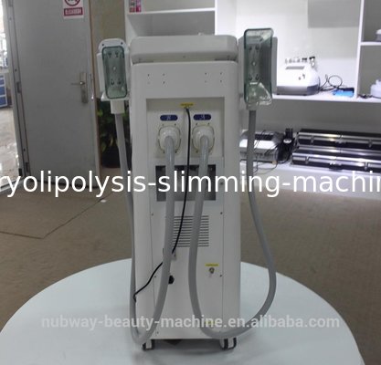 Freezing fat machine / cryolipolysis fat freezing machine with RF cavitation heads