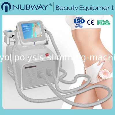 portable cryolipolysis fat freezing 3d lipo laser fast slimming machine with CE