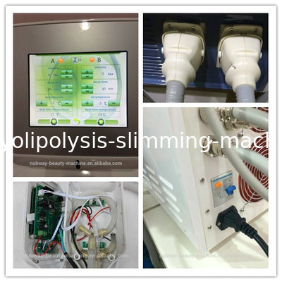 (Hot!!!)Factory price/ cryolipolysis machine and Two handpieces can work together / cryoli