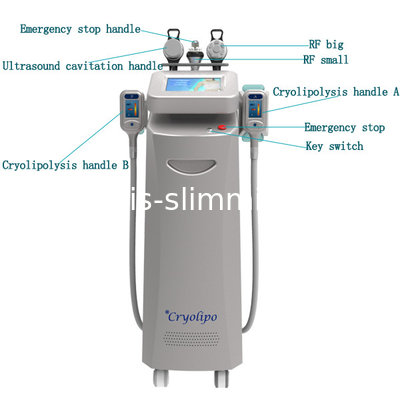 Cool Tech Cryolipolysis Fat Freezing Machine With RF And Cavitation Two Cryo Handles Work