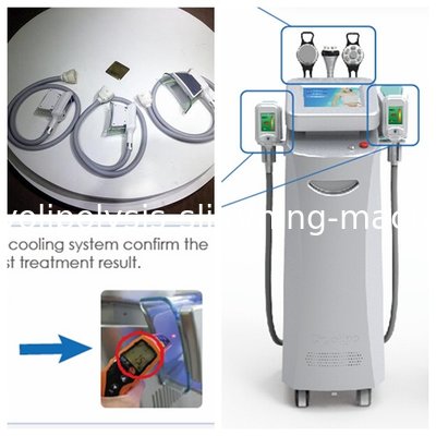 Cryolipolysis lipo cryo cryotherapy fat freezing machine cryolipolysis machine with 5 head