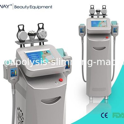 Cryolipolysis lipo cryo cryotherapy fat freezing machine cryolipolysis machine with 5 head