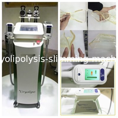Lipo Cryo Cryotherapy Fat Freezing machine Cryolipolysis Machine For Salon Use big handle size