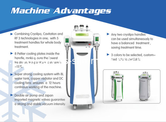 Multi - handles Vacuum Cavitation RF Cryolipolysis Slimming Machine For Body Shaping whole body slimming