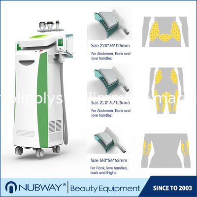 Factory Price Double Handpieces two handle work together Lipo Cryo Fat Freezing Machine for weight loss