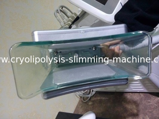 Two handles works together Updated Newest Cryolipolysis body slimming machine for salon / spa