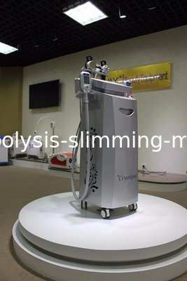 Two handles works together Updated Newest Cryolipolysis body slimming machine for salon / spa