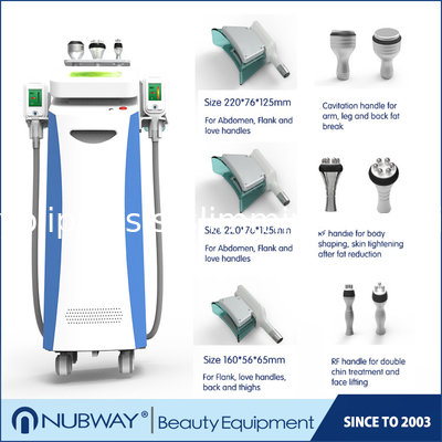 3 in one Cryolipoly RF fat freezing body slimming machine for salon