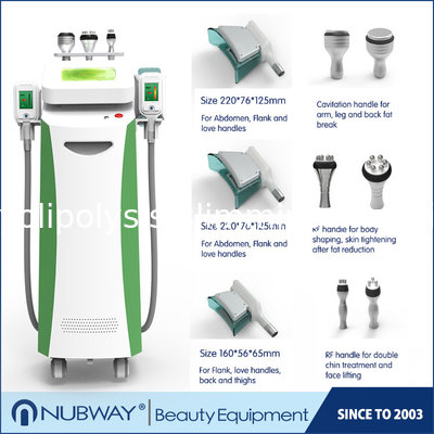 Hot selling multi-function CE approval  Cryolipolysis Slimming machine