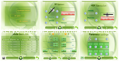 Wholesale good result five handles Cryolipolysis Slimming machine