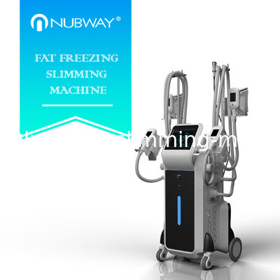 2018 newest design OEM most popular 4 Cryolipoly heads slimming machine for beauty salon