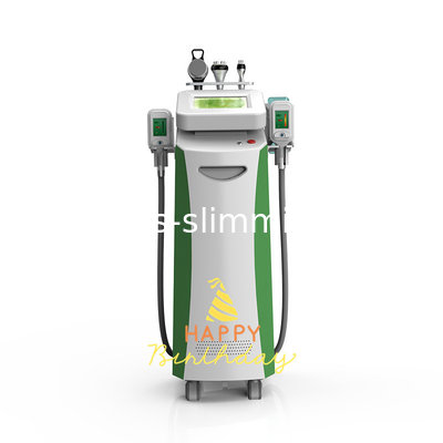 CE approval high quality effective result weight loss Cryolipoly machine