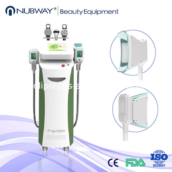 Max -15 celsius cryotherapy fat freezing device cryolipolysis fat freezing machine two handles work together