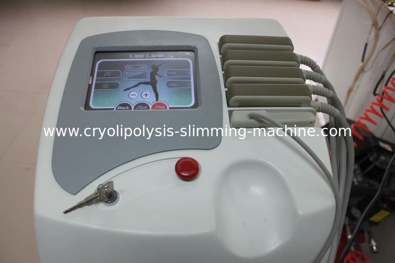 Low Level Lipo Laser Machine , Fast Effect Fat Reduction Machine With Medical CE