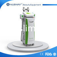 (Hot!!!)Factory price/ cryolipolysis machine and Two handpieces can work together / cryoli
