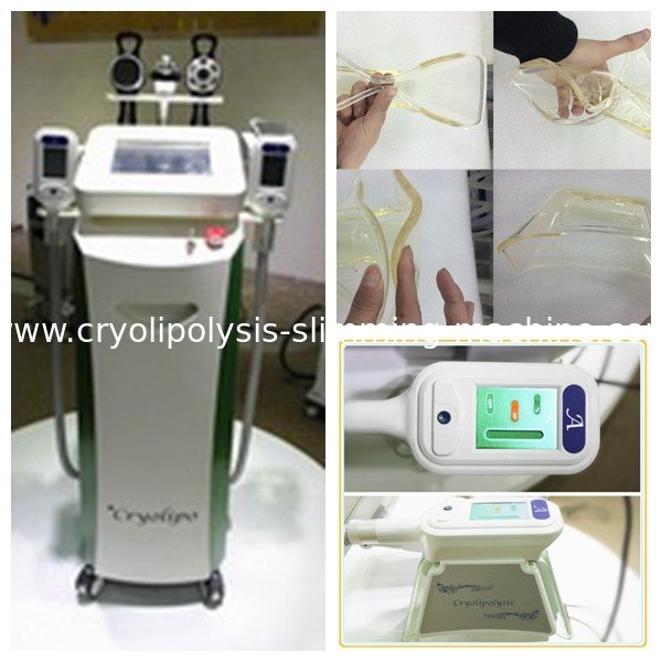 Lipo Cryo Cryotherapy Fat Freezing machine Cryolipolysis Machine For Salon Use big handle size
