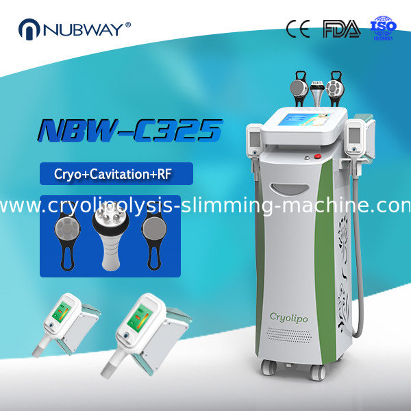 With RF Cryolipolysis fat freeze slimming machine for weight loss , cellulite reduction