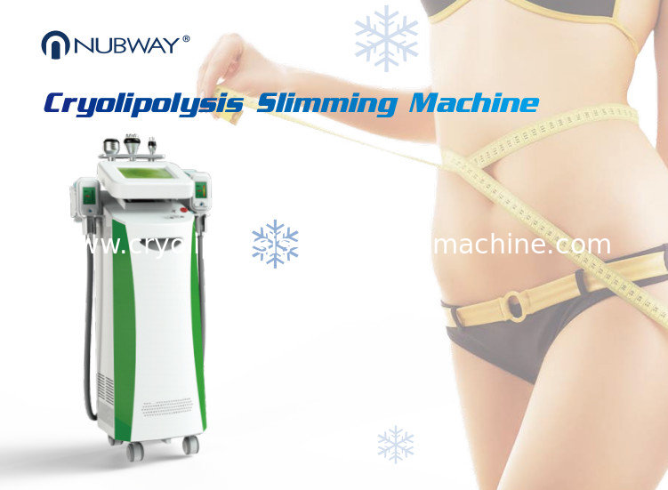 With RF cavitation Multifunctional Cryolipolysis Cool Tech Fat Freezing Machine for Body Sculpting