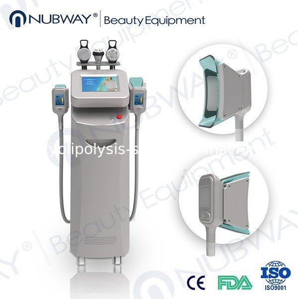 Cool tech fat freezing machine fat sculpting machine 2 cryo handles work together cryolipolysis
