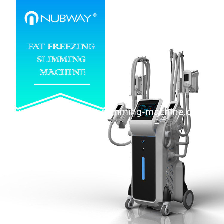 2018 newest design OEM most popular 4 Cryolipoly heads slimming machine for beauty salon