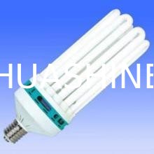 CFL Plant Lighting