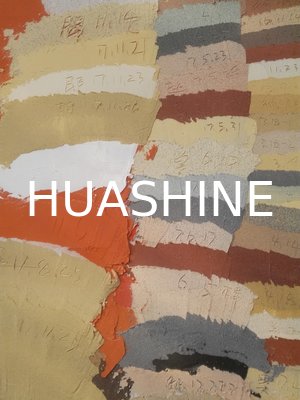 coating material; paint; coating; daubing; dope