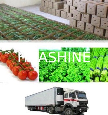 WE DESIGN AND IMPLEMENT  DIFFERENT  PROJECT WITH  ROBOT, PALLET,  AGV, RGV, WMS,WCS,LTCS, iMES TO SMART FACTORY