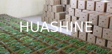 WE DESIGN AND IMPLEMENT THE ASRS PROJECT FOR FOOD COLD STORAGE,  WE NEED ABROAD AGENT