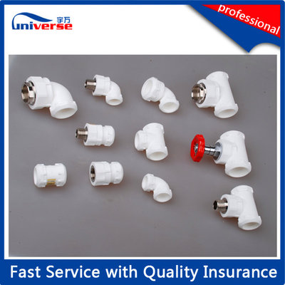Small Low Pressure Plastic Injection Molds , Precision Injection Blow Molding