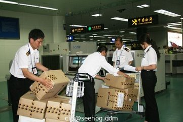 China Seehog International Logistics Co., Ltd