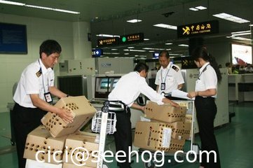 Bonded Warehousing Service for Consoliation LCL/FCL drop ship collect cargo distribution inspection label Xiamen Qingdao
